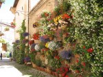 “Festa della Primavera” The Taste of Italian Spring! – Once Upon a Spice