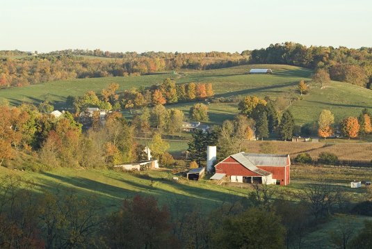 Guest Chef Wednesday! Peg’s Amish White Bread: Uncomplicated ...